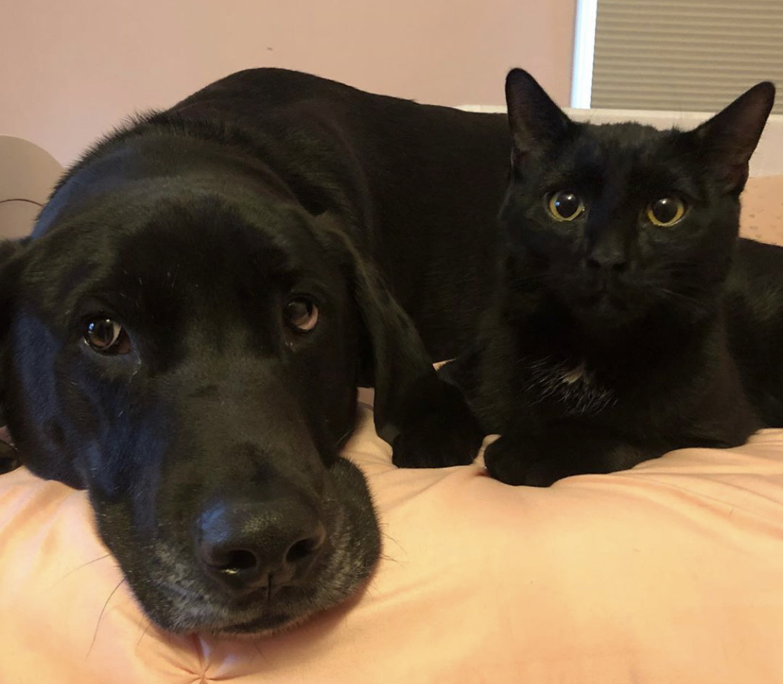 Jerry Chao’s Website